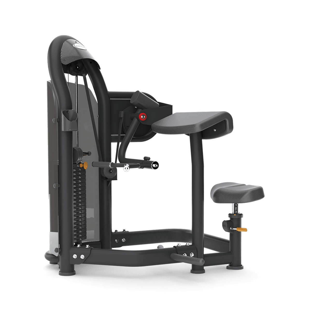 Matrix Aura Arm Curl – Johnson Fitness Australia